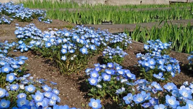 囲炉裏のある昔ながらの茅葺民家です!食事、会議、イベントなどに!の写真3