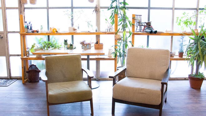 magari~カフェスタジオ~壁一面に本棚のある調理・飲食が可能な撮影スタジオの写真7