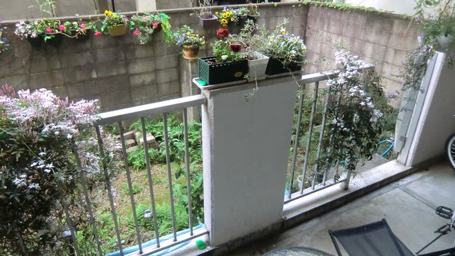 キッチン付き、パーティ、女子会、誕生日会、コスプレ撮影の写真19