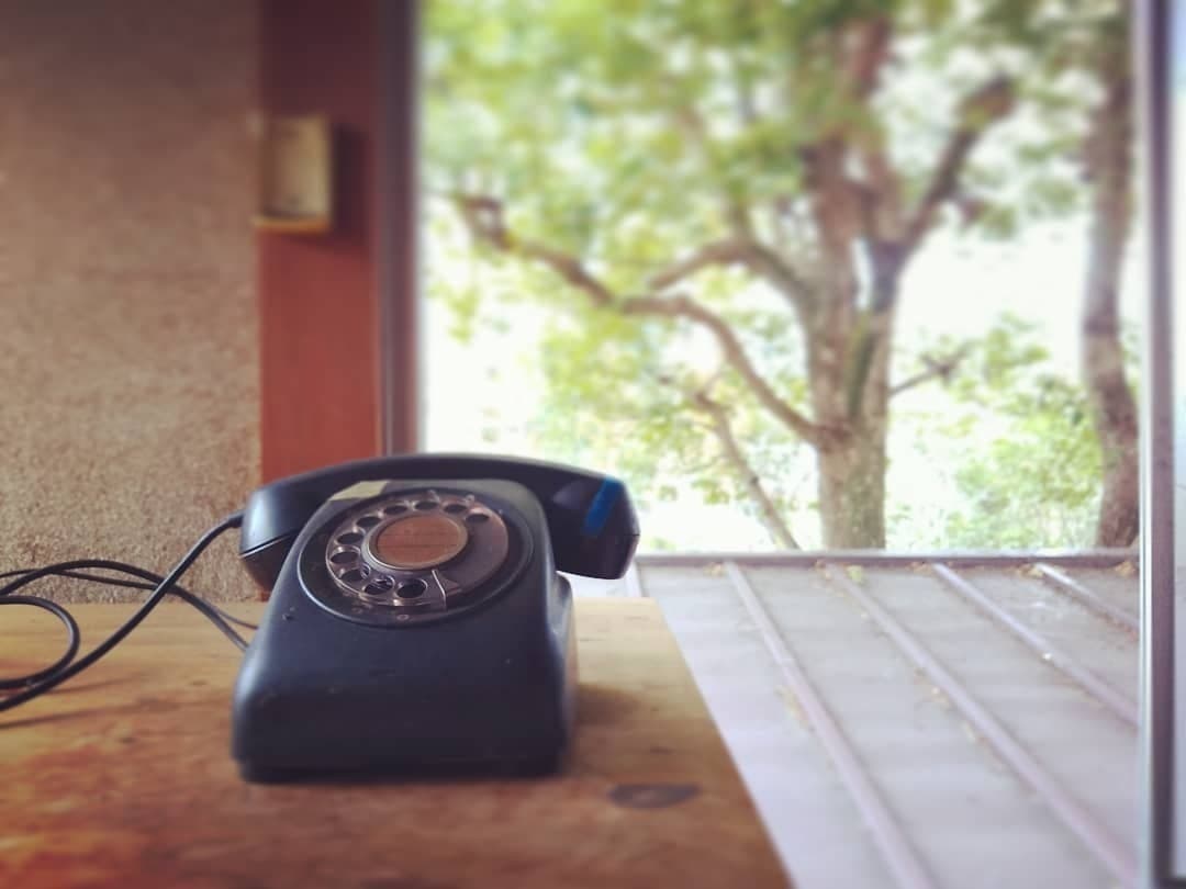 384㎡の贅沢な空間：離れ付きの庭とサンルームのある邸宅の写真10