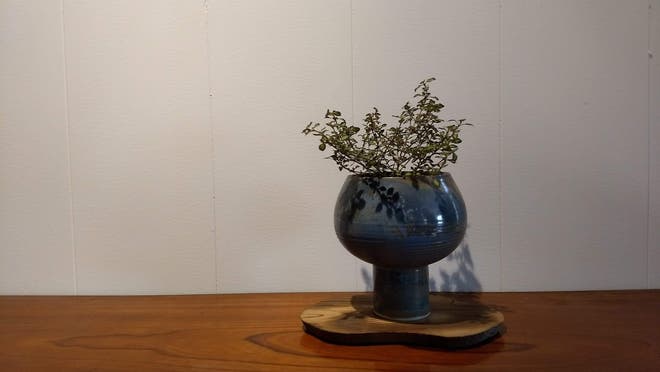 384㎡の贅沢な空間:離れ付きの庭とサンルームのある邸宅の写真13