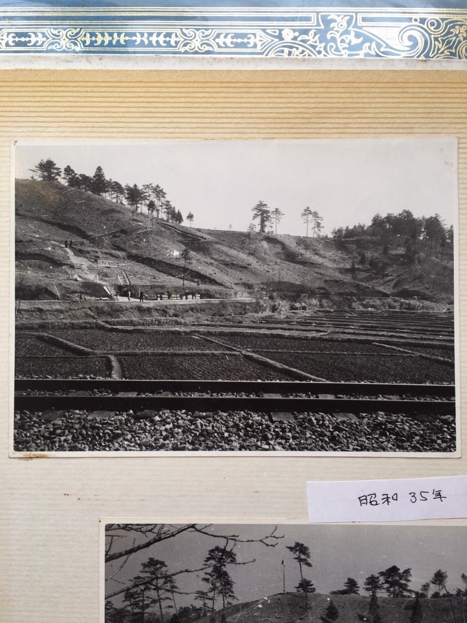 384㎡の贅沢な空間：離れ付きの庭とサンルームのある邸宅の写真18