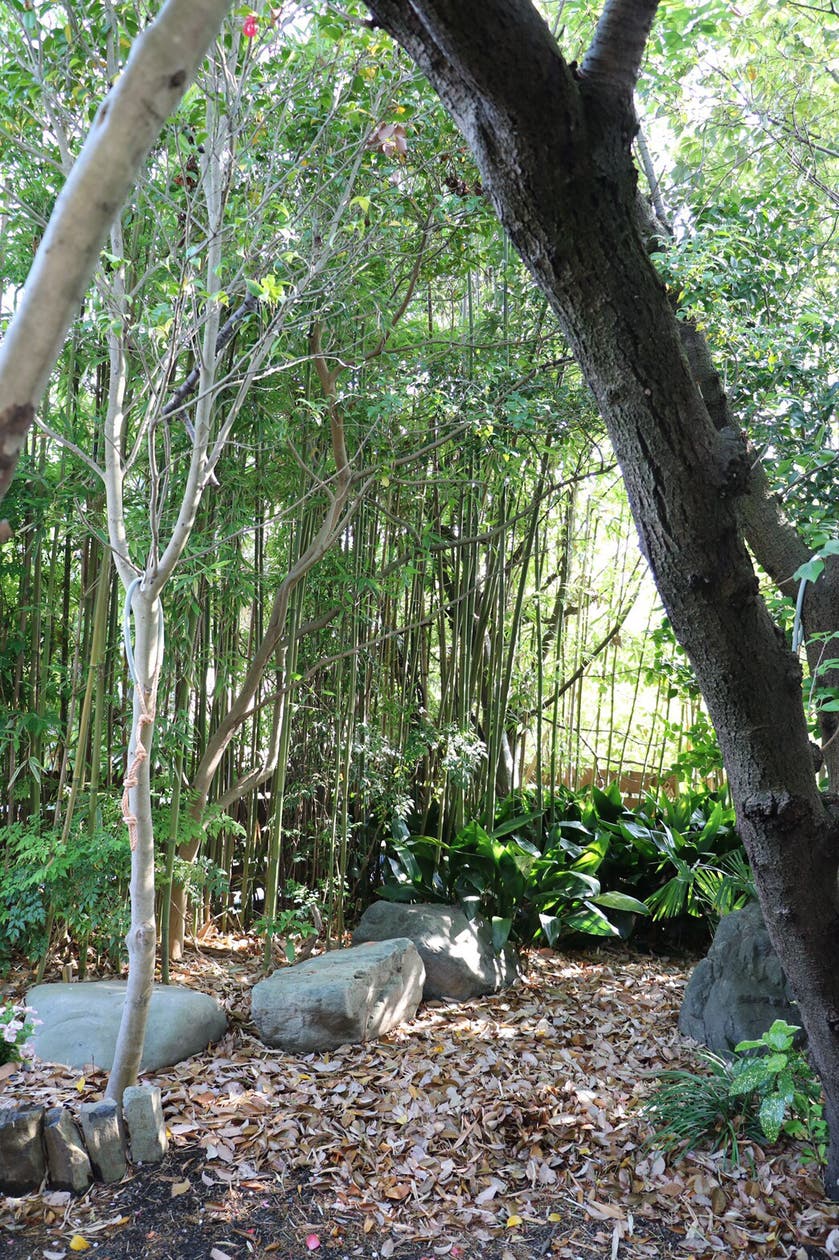 自然に囲まれたプライベートスペースです。優雅なひとときをお楽しみください。の写真8