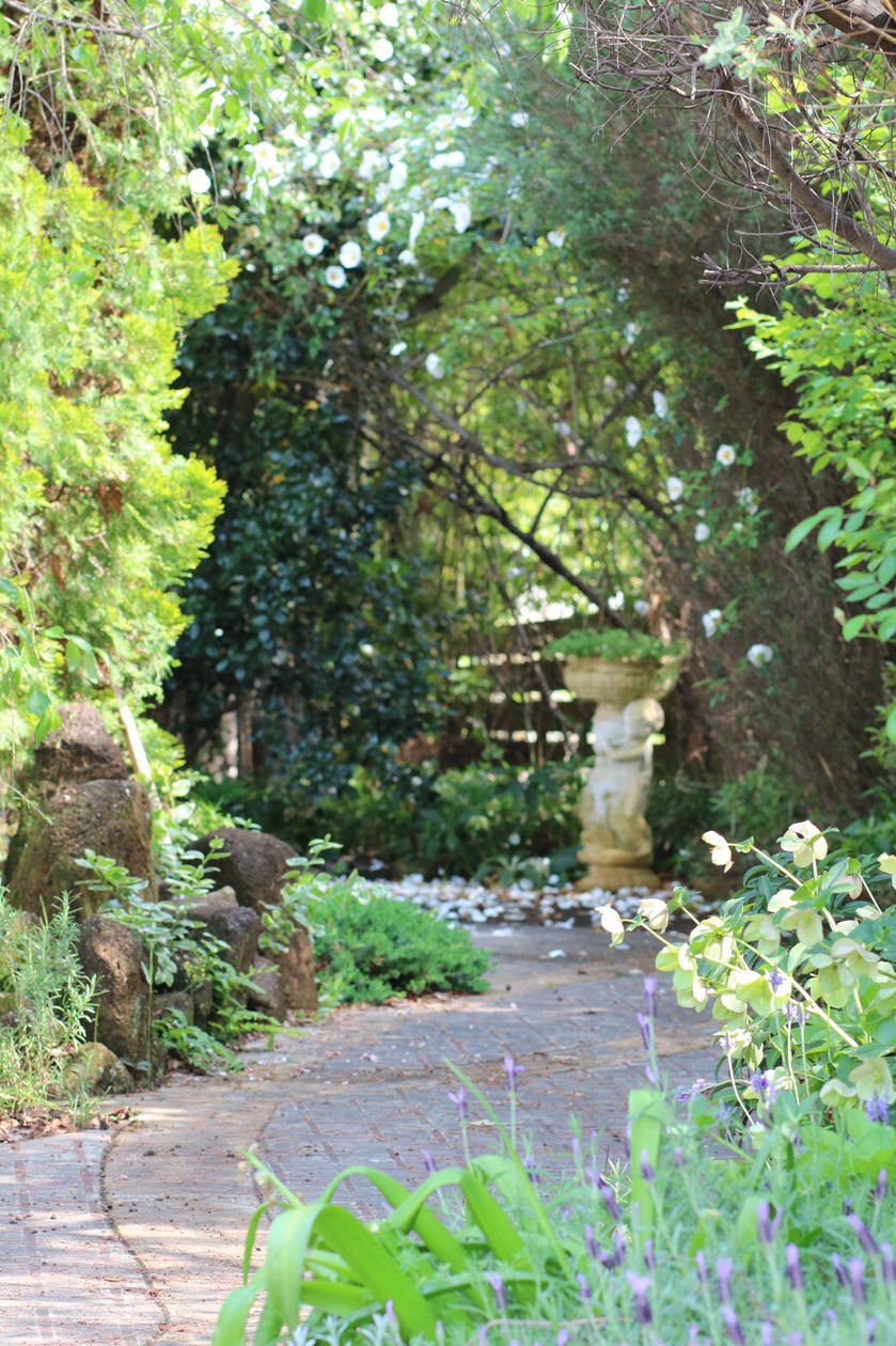 自然に囲まれたプライベートスペースです。優雅なひとときをお楽しみください。の写真5