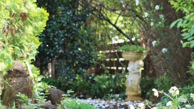 自然に囲まれたプライベートスペースです。優雅なひとときをお楽しみください。の写真5