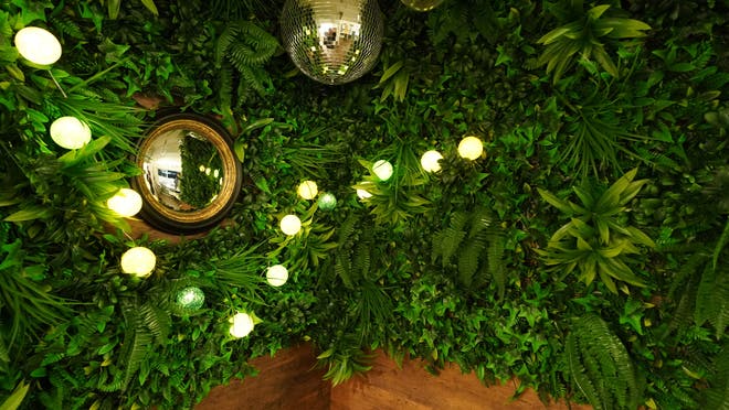 T【渋谷、原宿徒歩6分】ルーフトップ!大人気!BBQ!グランピング!換気!✨ルーフトップ/パーティー/誕生会の写真13