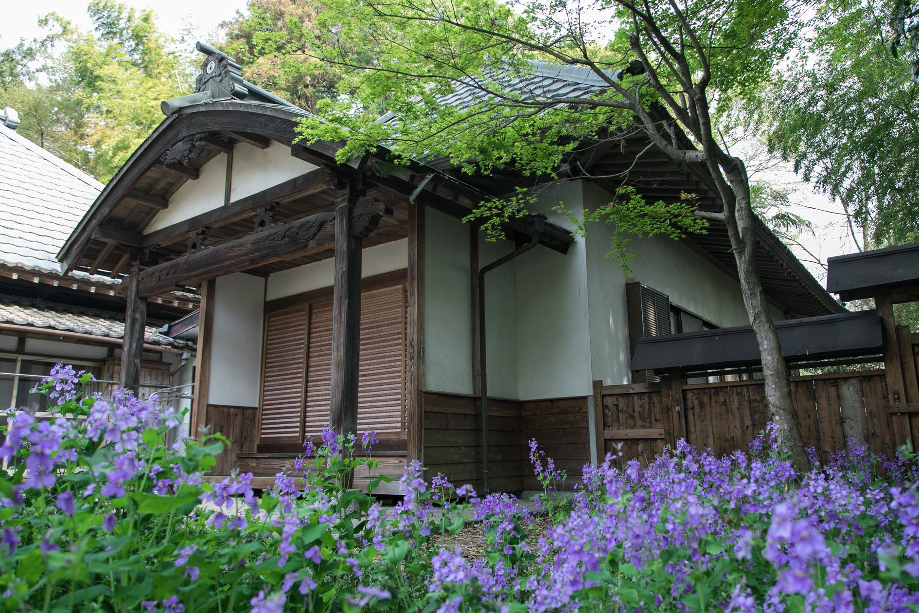【都内から一時間】茨城県古河市の古民家。広い敷地に竹林、サツマイモ畑、蔵、母屋、離れの写真11