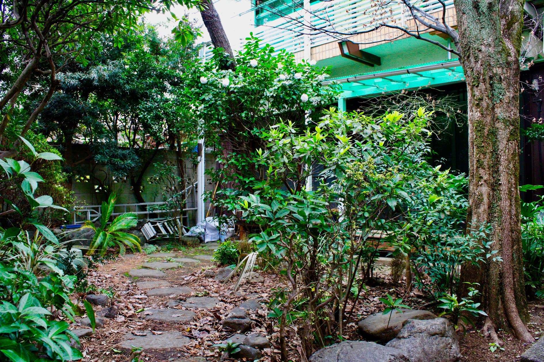 目黒区にある和風昭和レトロが漂う古民家スタジオです。（南テラス目黒の姉妹スタジオです。洗足駅で検索して下さい)の写真18