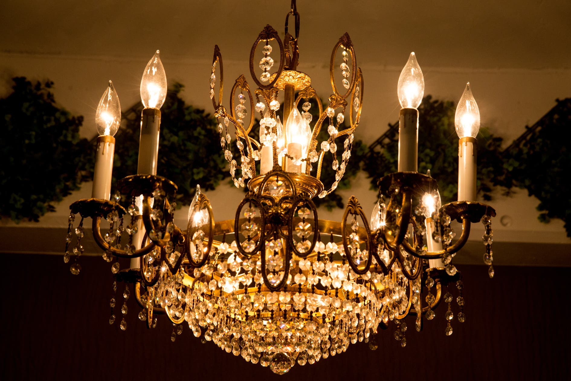 ゴシックなヨーロッパの古城、コテージガーデン、薔薇園をイメージし世界観を重視した撮影スタジオ、イベント・レンタルスペース。の写真5