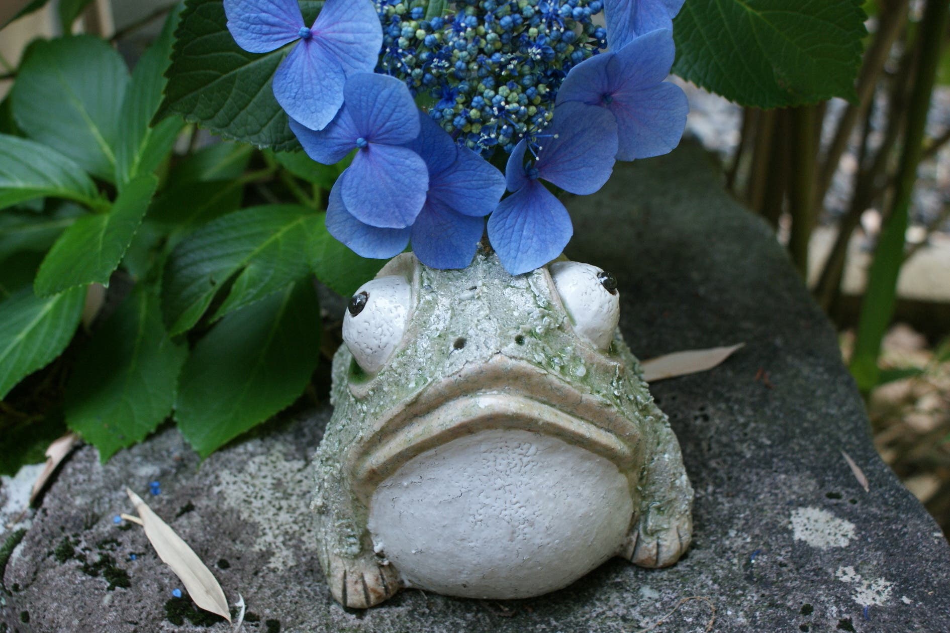 通尾天神山 松風庵　　　のど黒飴CM舞台ですの写真7