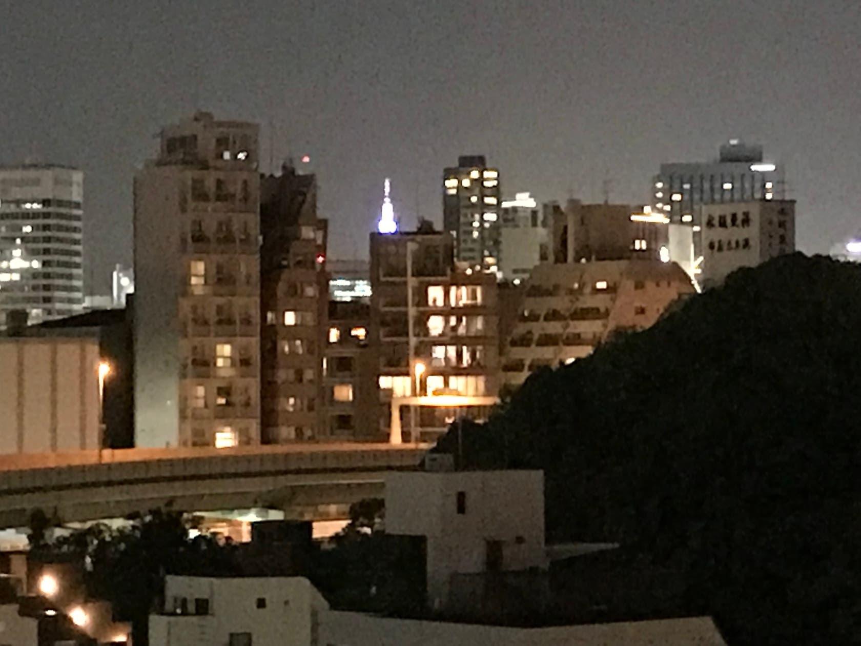 ＜掃除おまかせ＞麻布十番駅徒歩2分 最上階デザイナーズマンションの写真8