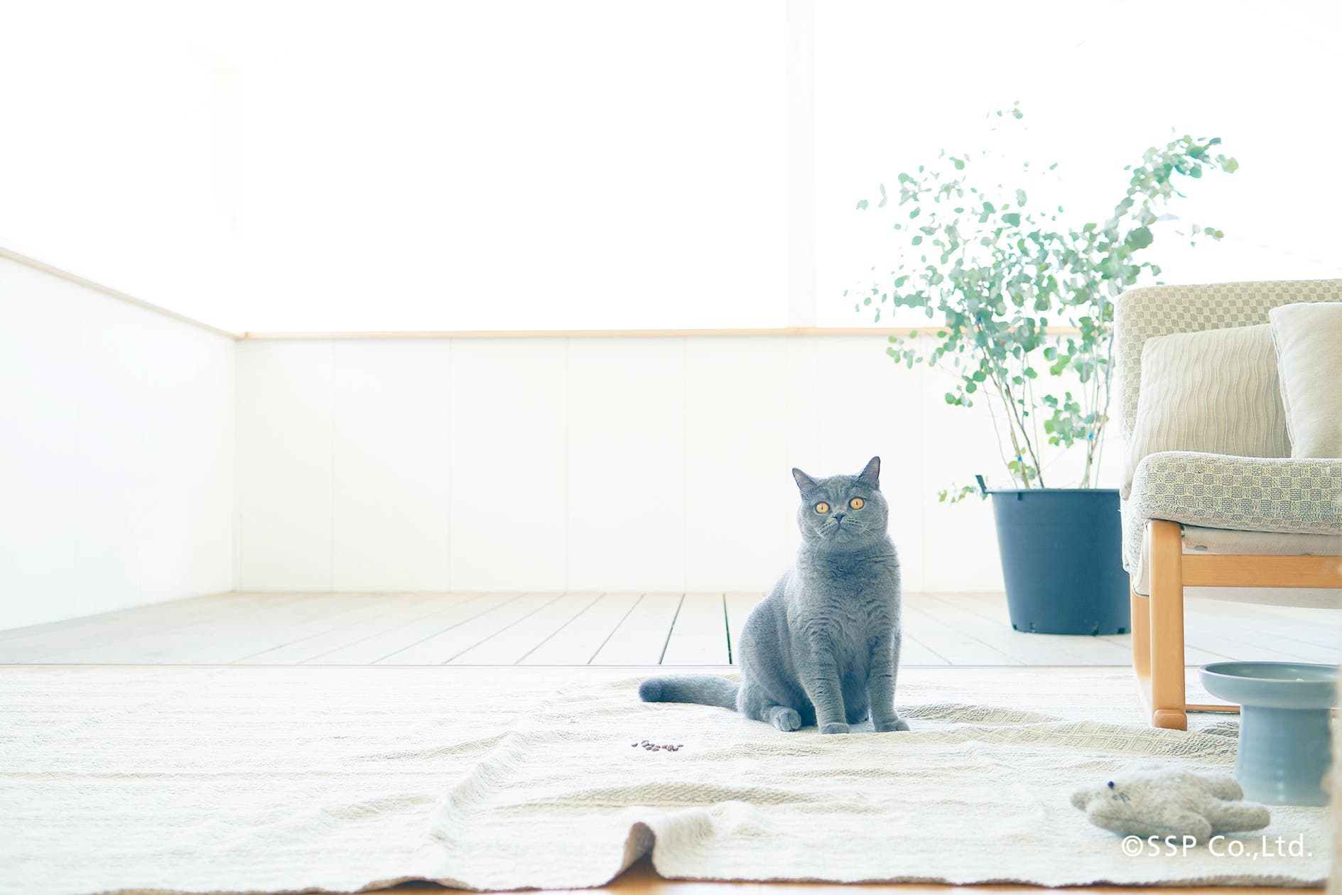 studio HEIの写真9