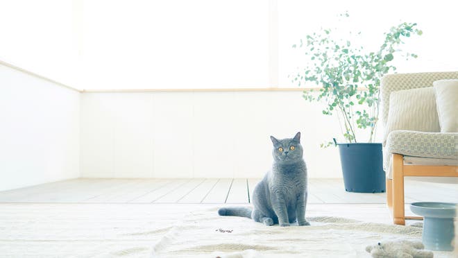 studio HEIの写真9