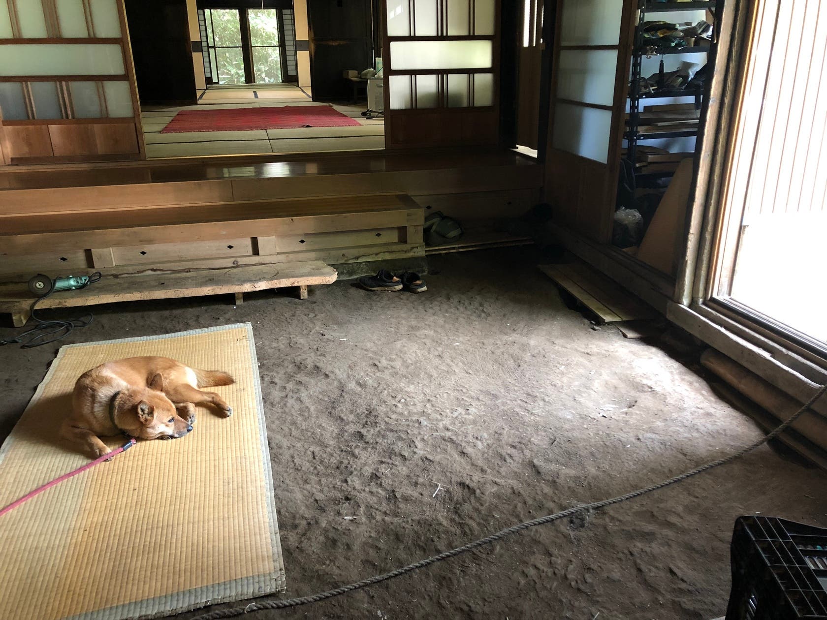 【都内から一時間】茨城県古河市の古民家。広い敷地に竹林、サツマイモ畑、蔵、母屋、離れの写真18