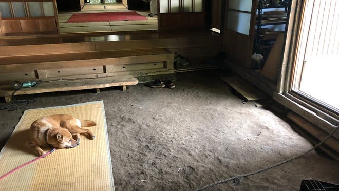 【都内から一時間】茨城県古河市の古民家。広い敷地に竹林、サツマイモ畑、蔵、母屋、離れの写真18