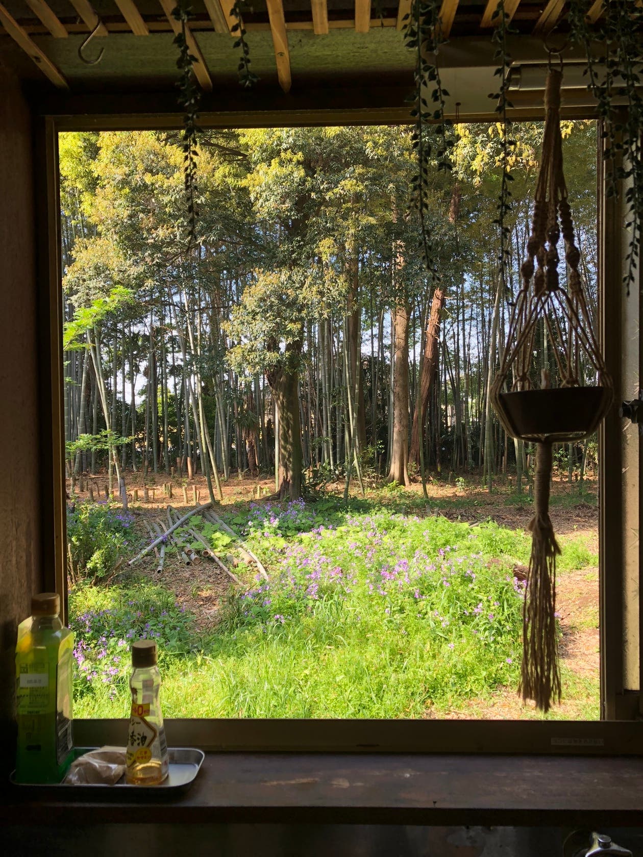 【都内から一時間】茨城県古河市の古民家。広い敷地に竹林、サツマイモ畑、蔵、母屋、離れの写真19