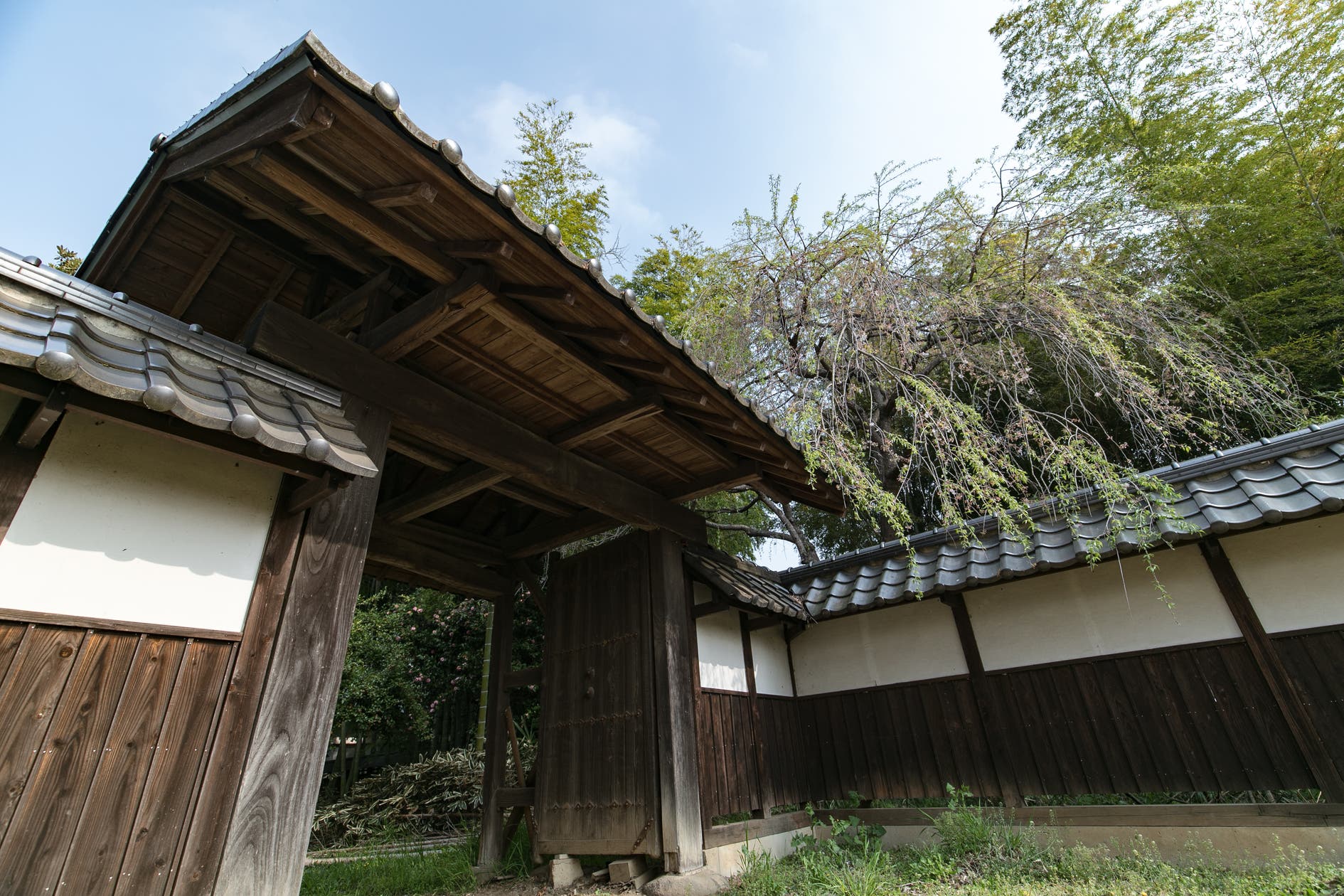 【都内から一時間】茨城県古河市の古民家。広い敷地に竹林、サツマイモ畑、蔵、母屋、離れの写真21