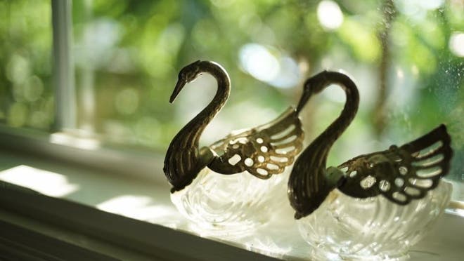 イギリス古民家造りのカフェ アンティークいっぱいの店内 季節の草花が咲いている庭 の写真8