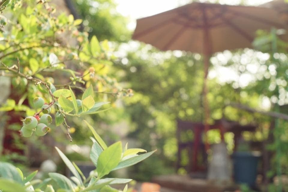 イギリス古民家造りのカフェ アンティークいっぱいの店内 季節の草花が咲いている庭  の写真16