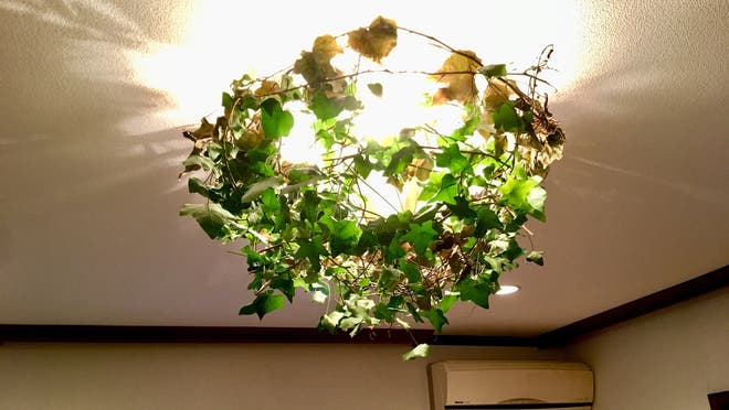 谷根千エリア【広々一軒家リビング〜ダイニング〜キッチン】大手町から電車7分/親睦会/上映会/撮影/ミーティングの写真11