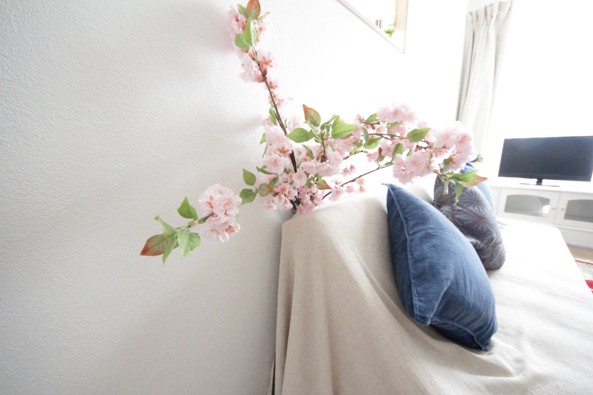 【湘南 藤沢】🌊江ノ電沿い徒歩1分のフリースペース♪駐車場完備！の写真20