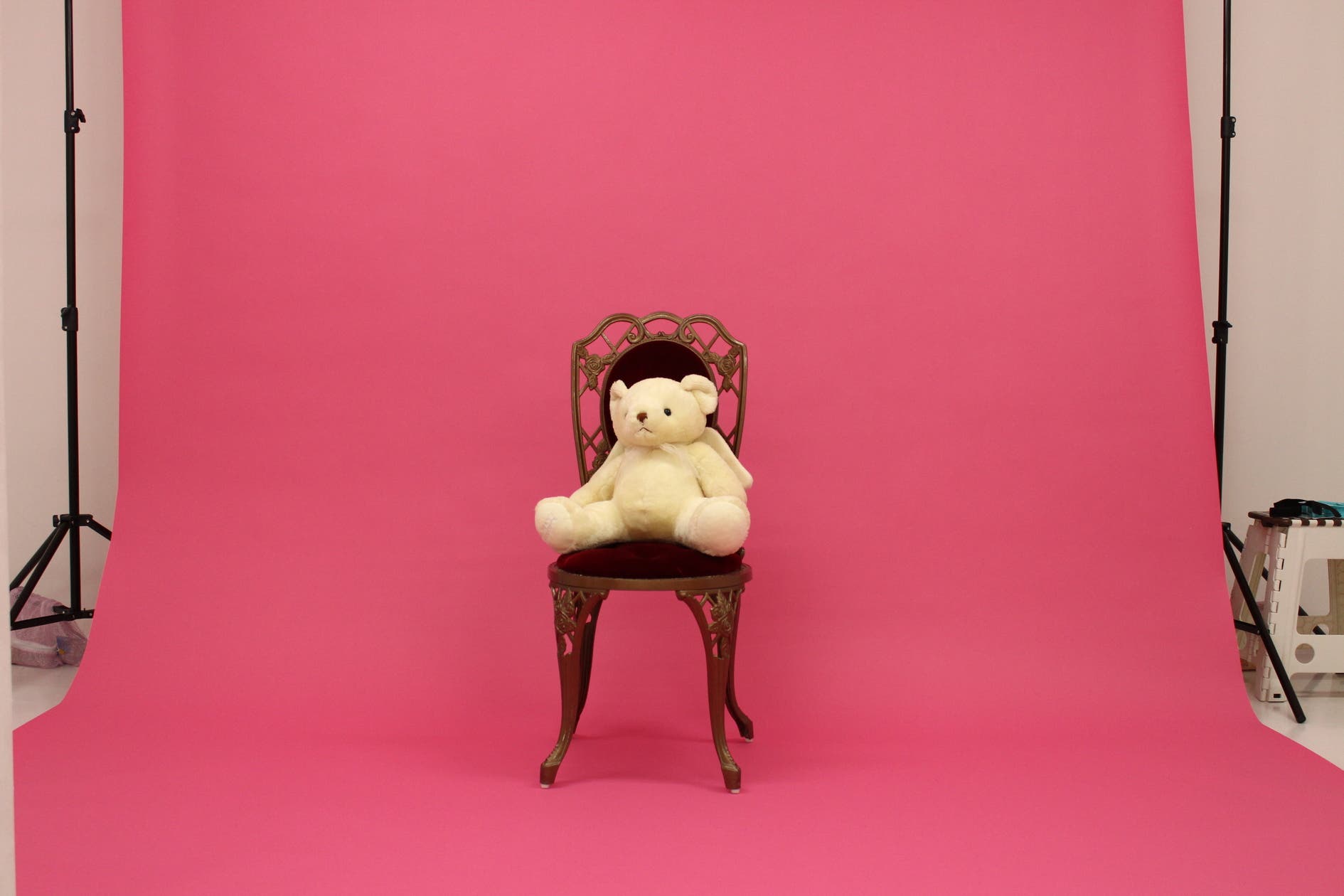 バック紙利用（チューリップ）の画像1