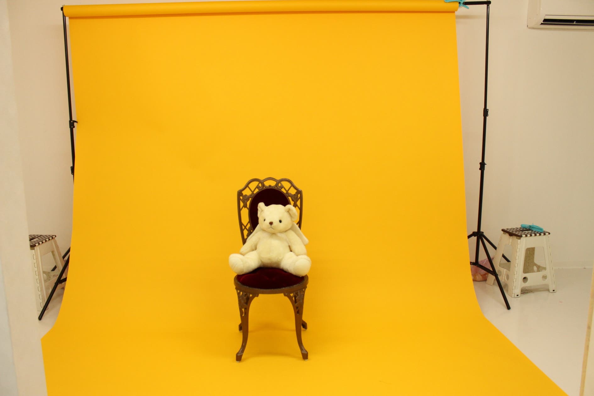 バック紙利用（ディープイエロー）の画像1