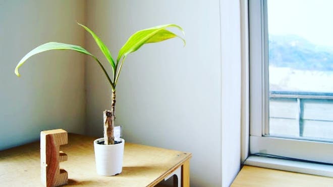 zoom会議やリモート会議用個室もあり、コワーキングにおすすめ!仕事の合間に海沿いを散歩することも!の写真23