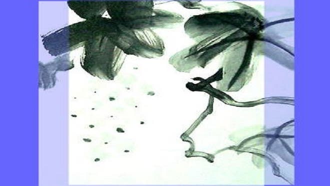 1時間半のワークショップ:ミニドールハウス・墨絵・うちわや扇子・粘土の和菓子・ケーキ制作と坪庭で作品撮影。予約リクエストの写真17