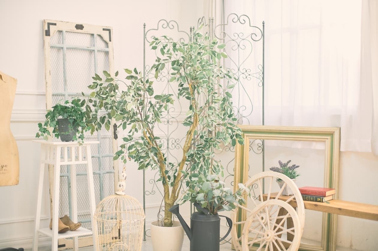 白基調のハウススタジオ【ROCO STUDIO 新神戸】の写真14