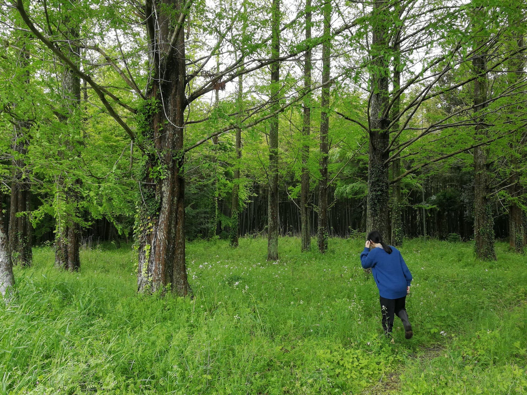 【ひらやま治兵衛】築135年古民家を貸切で動画／コスプレ撮影会などに‼ 打掛レンタル無料の写真23