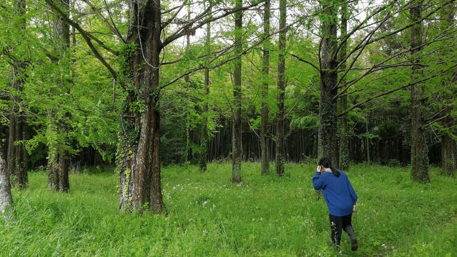 【ひらやま治兵衛】築135年古民家を貸切で動画/コスプレ撮影会などに‼ 打掛レンタル無料の写真23