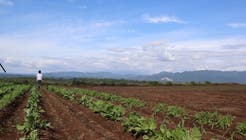 田舎の大自然を満喫 バーベキューや畑体験、研修や合宿等にも!の写真3