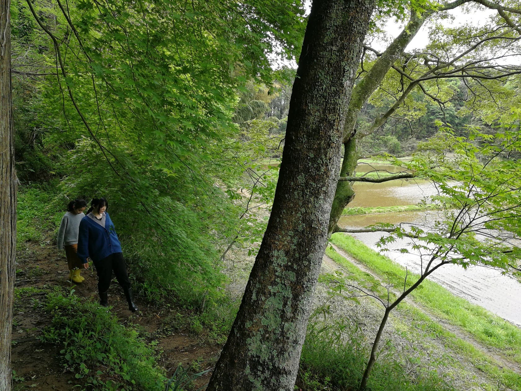 【ひらやま治兵衛】築135年古民家を貸切で動画／コスプレ撮影会などに‼ 打掛レンタル無料の写真28