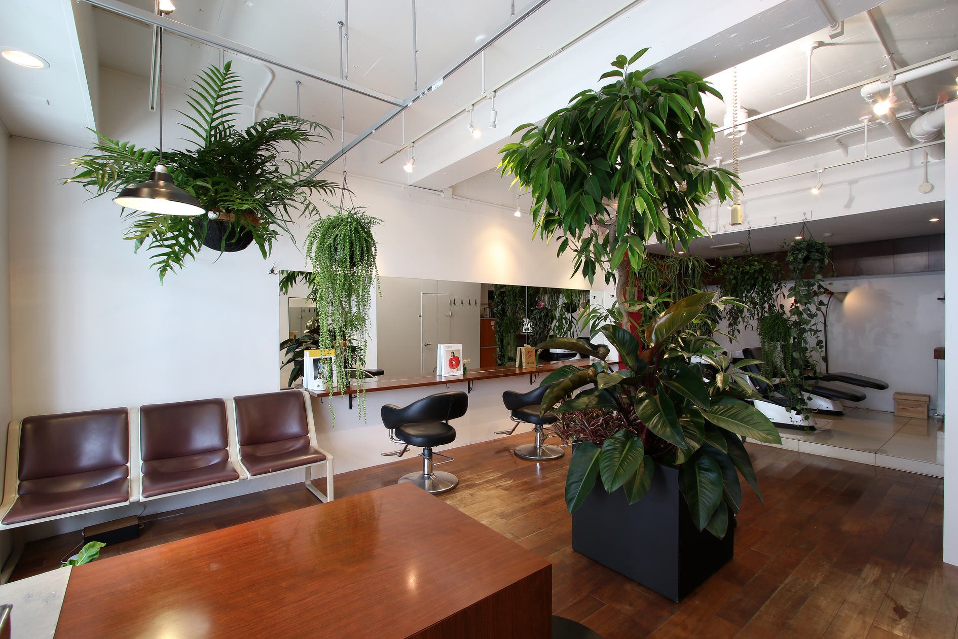 女子会・誕生日会・ママ会・コスプレ撮影・会議利用などに！の写真2