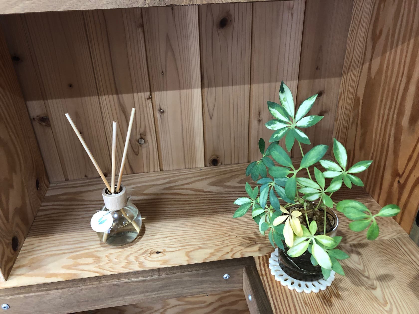 シェアオフィス　ｉｐｐｏの写真6