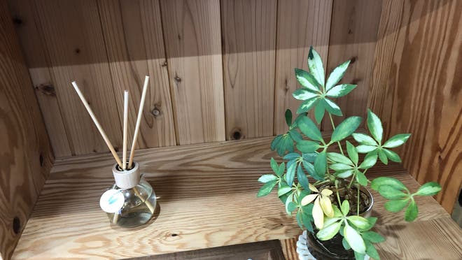 シェアオフィス ippoの写真6