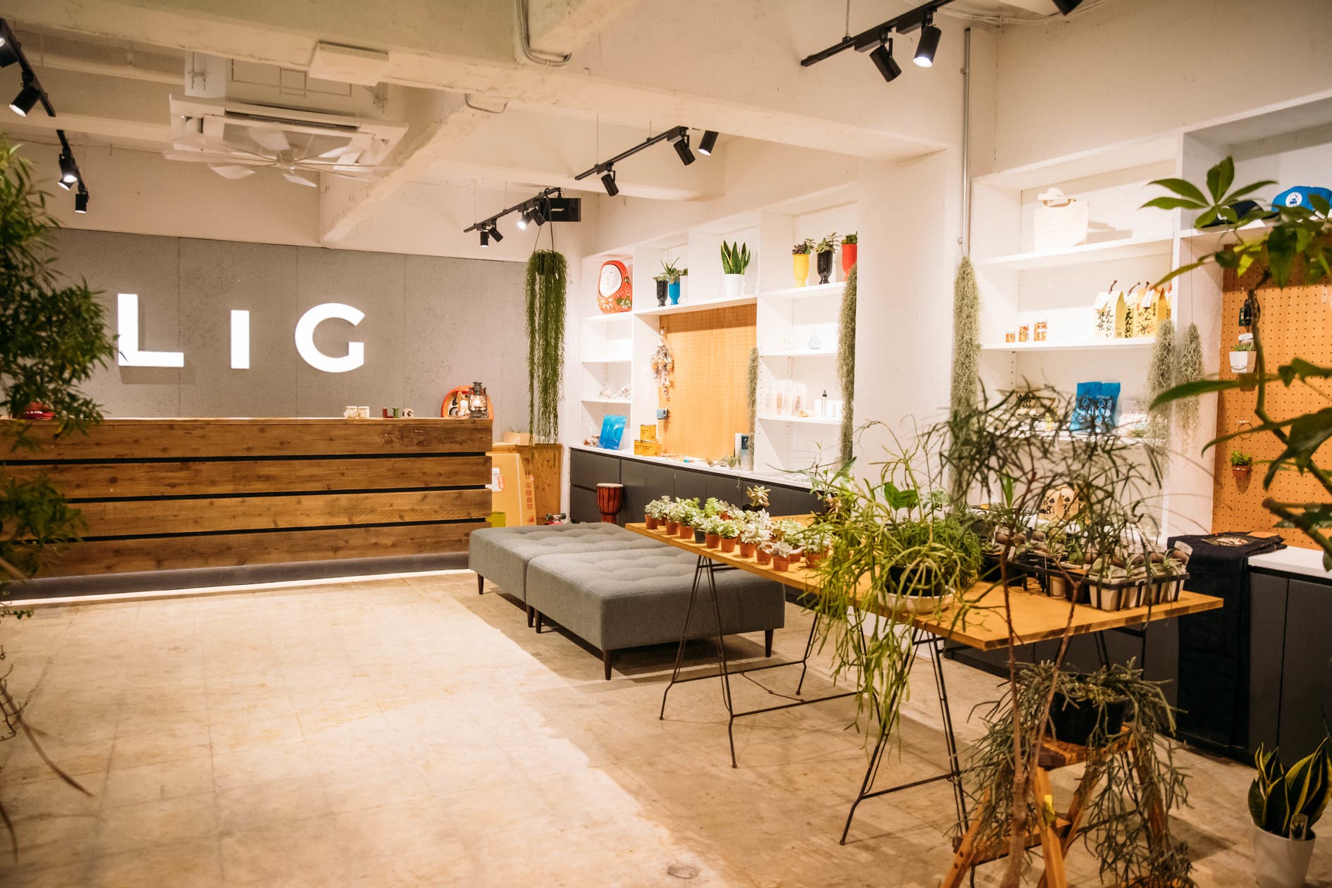 【格安白壁・白ホリスタジオ】都内のスチール撮影/動画・Youtube撮影/コスプレ撮影などに！の写真4