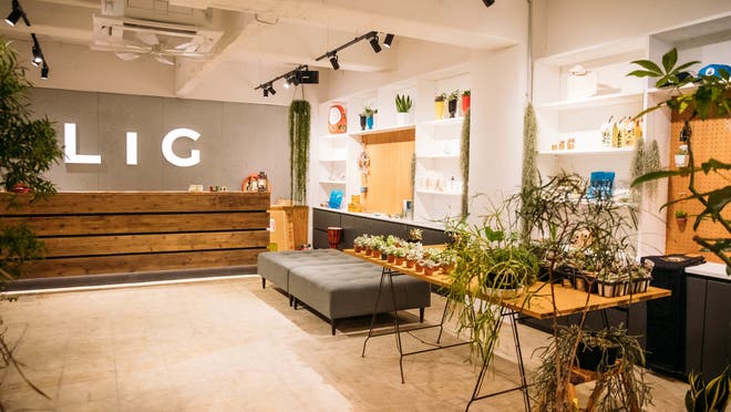 【格安白壁・白ホリスタジオ】都内のスチール撮影/動画・Youtube撮影/コスプレ撮影などに!の写真4