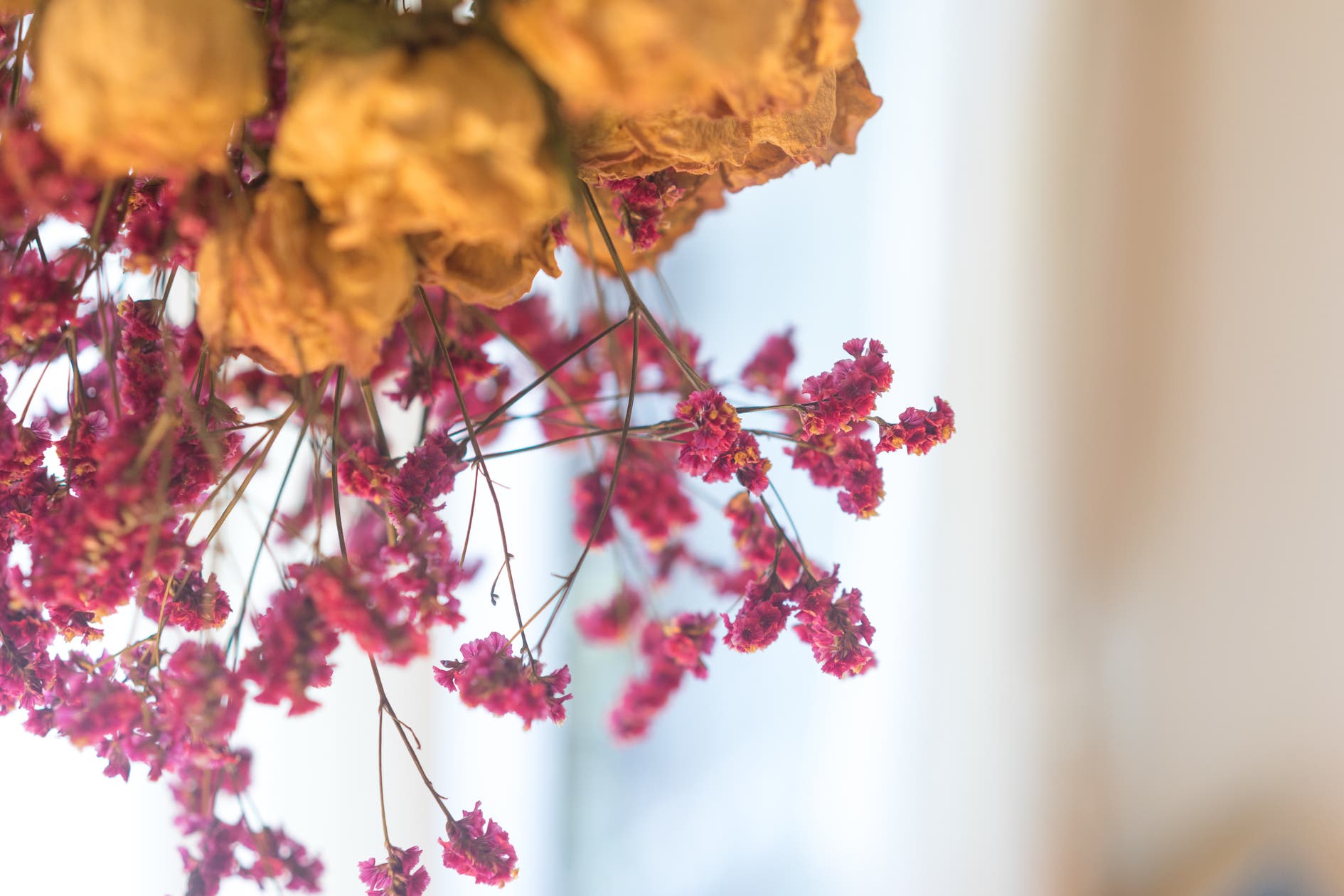 新宿御苑駅5分/リノベーション&自然光で撮影に最適/推し活・パーティー！現地ゴミ捨て可(ゴミ場はファイルで確認)の写真12
