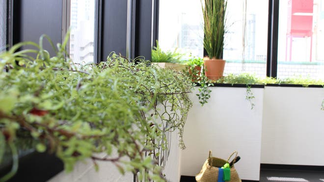 【天六駅徒歩5分 24時間利用可】 4cm厚のマットで快適にヨガ・ダンス・トレーニング!の写真7