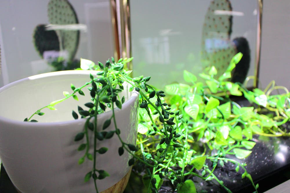 【天六駅徒歩5分　24時間利用可】 4cm厚のマットで快適にヨガ・ダンス・トレーニング！の写真11