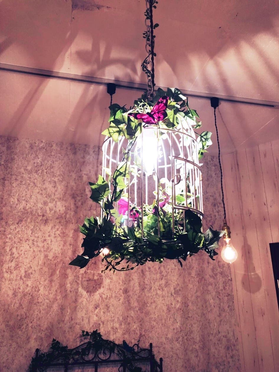 【apps Bst】自然光が美しい上品なボタニカル調で万能で使いやすく人気の最高内装空間◎の写真11