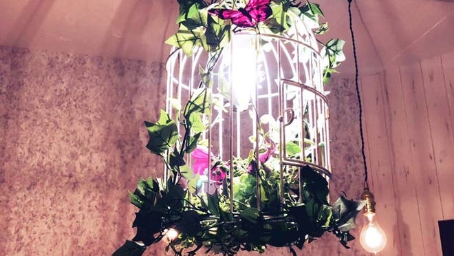 【apps Bst】自然光が美しい上品なボタニカル調で万能で使いやすく人気の最高内装空間◎の写真11