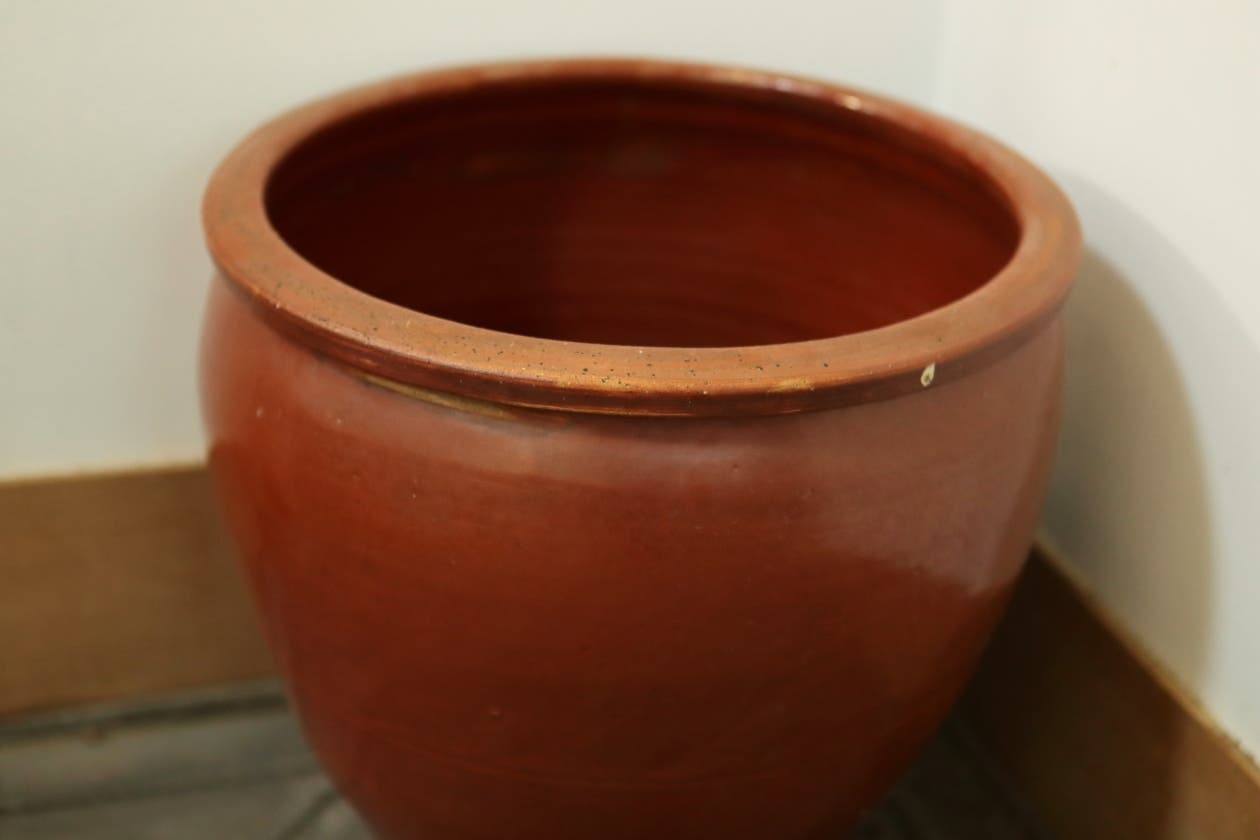 【奈良百楽荘・さつき】日本庭園のある料亭の離れ　撮影会におすすめ！の写真16