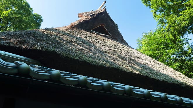 【奈良百楽荘・さつき】日本庭園のある料亭の離れ 撮影会におすすめ!の写真23