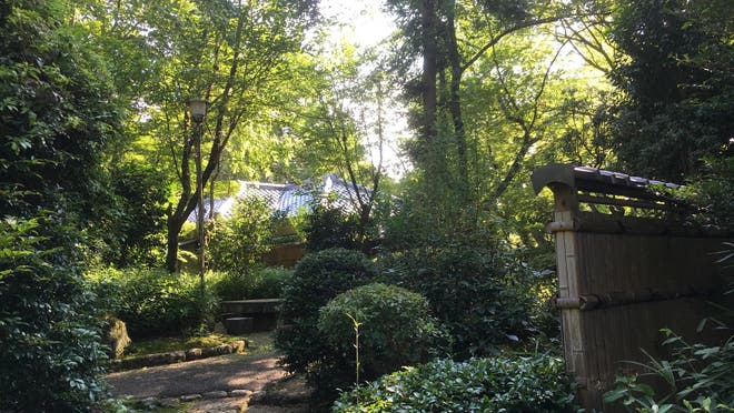 【奈良百楽荘・さつき】日本庭園のある料亭の離れ 撮影会におすすめ!の写真24