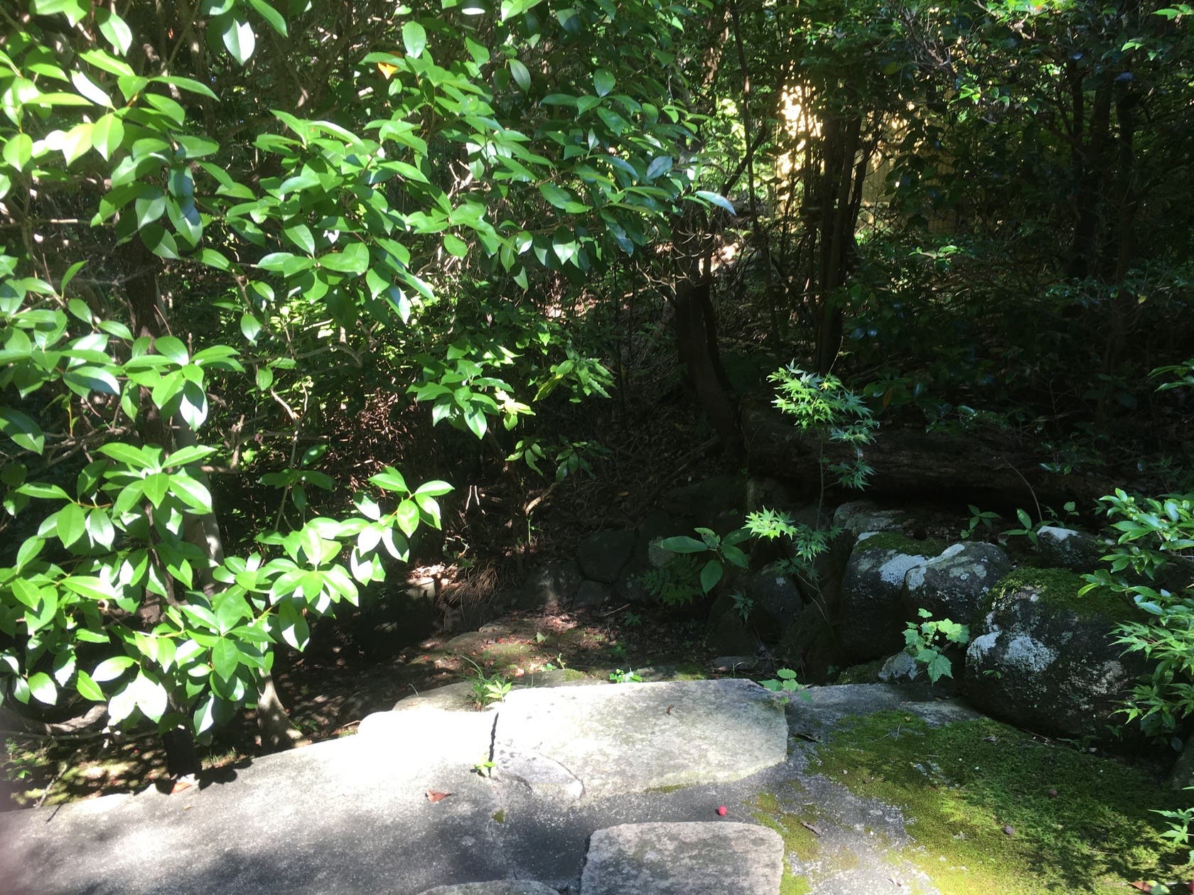 【奈良百楽荘・さつき】日本庭園のある料亭の離れ　撮影会におすすめ！の写真26