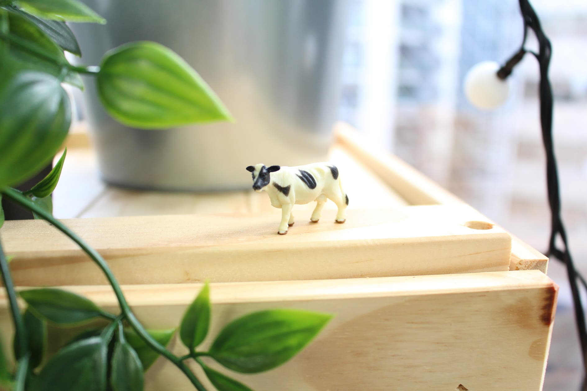 【天六駅徒歩5分　24時間利用可】 4cm厚のマットで快適にヨガ・ダンス・トレーニング！の写真12