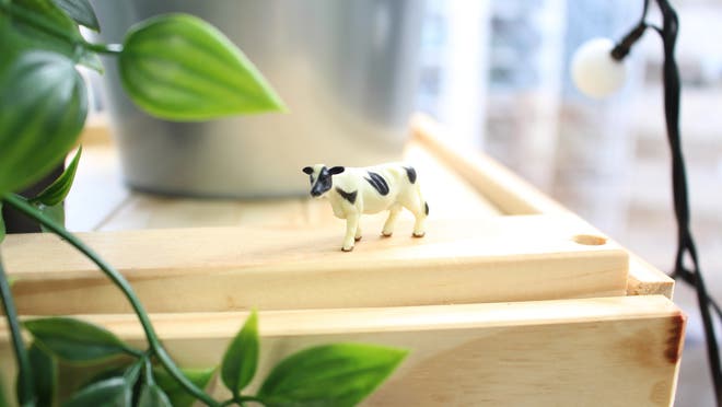 【天六駅徒歩5分 24時間利用可】 4cm厚のマットで快適にヨガ・ダンス・トレーニング!の写真12